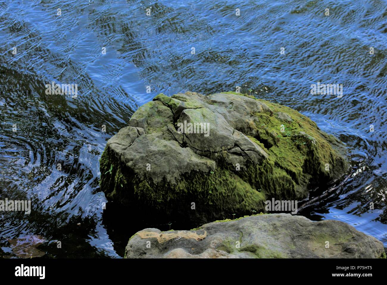 Moss rock texture hi-res stock photography and images - Alamy