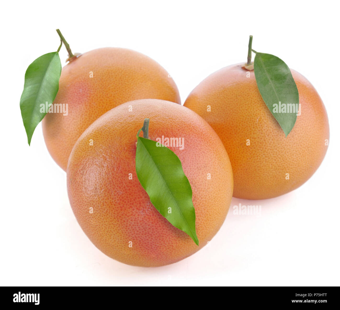 Grapefruit with leaves on a white background Stock Photo - Alamy