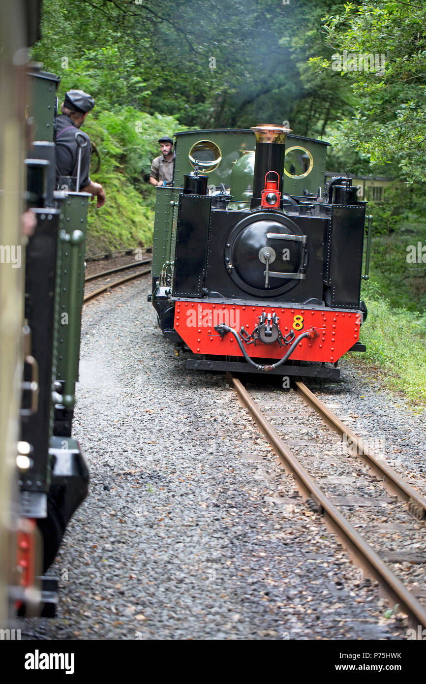 Vale Of Rheidol Railway Wales High Resolution Stock Photography and Images - Alamy