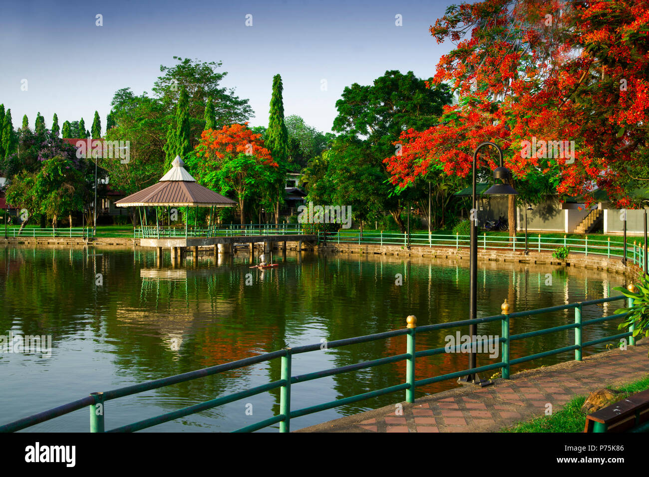 Mae song hi-res stock photography and images - Alamy