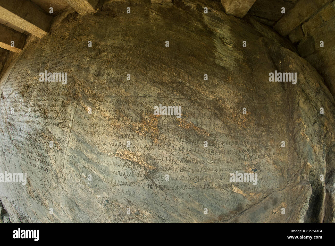 Dhauli hi-res stock photography and images - Alamy