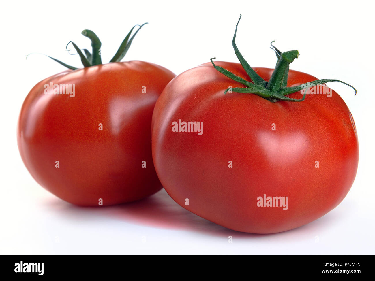 Two red tomatoes hi-res stock photography and images - Alamy