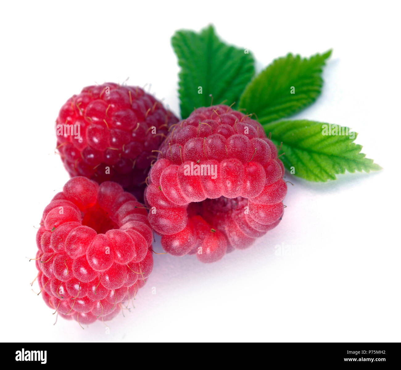 Raspberry with leaves on a white background Stock Photo - Alamy