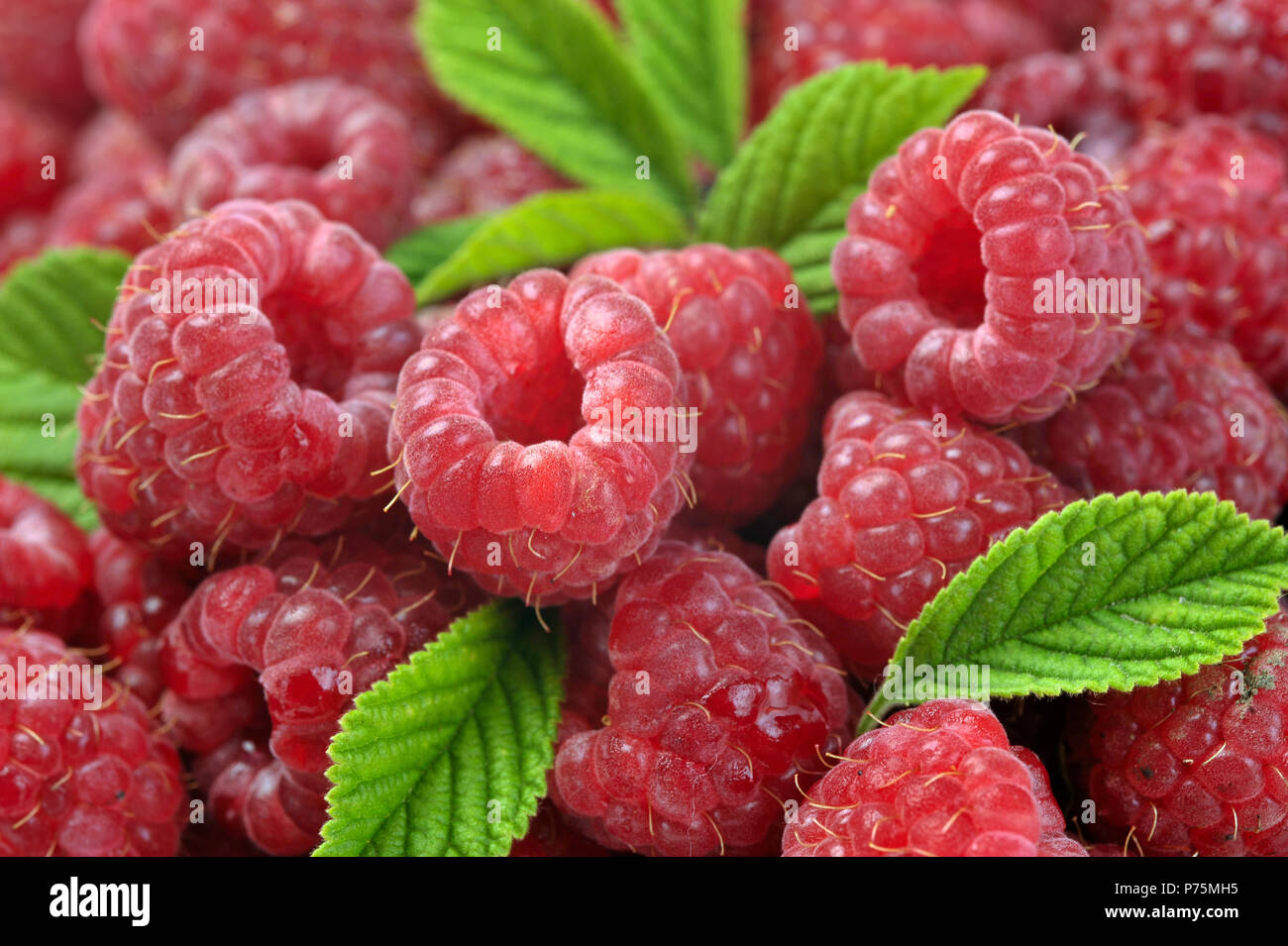 Considerable quantity hi-res stock photography and images - Alamy