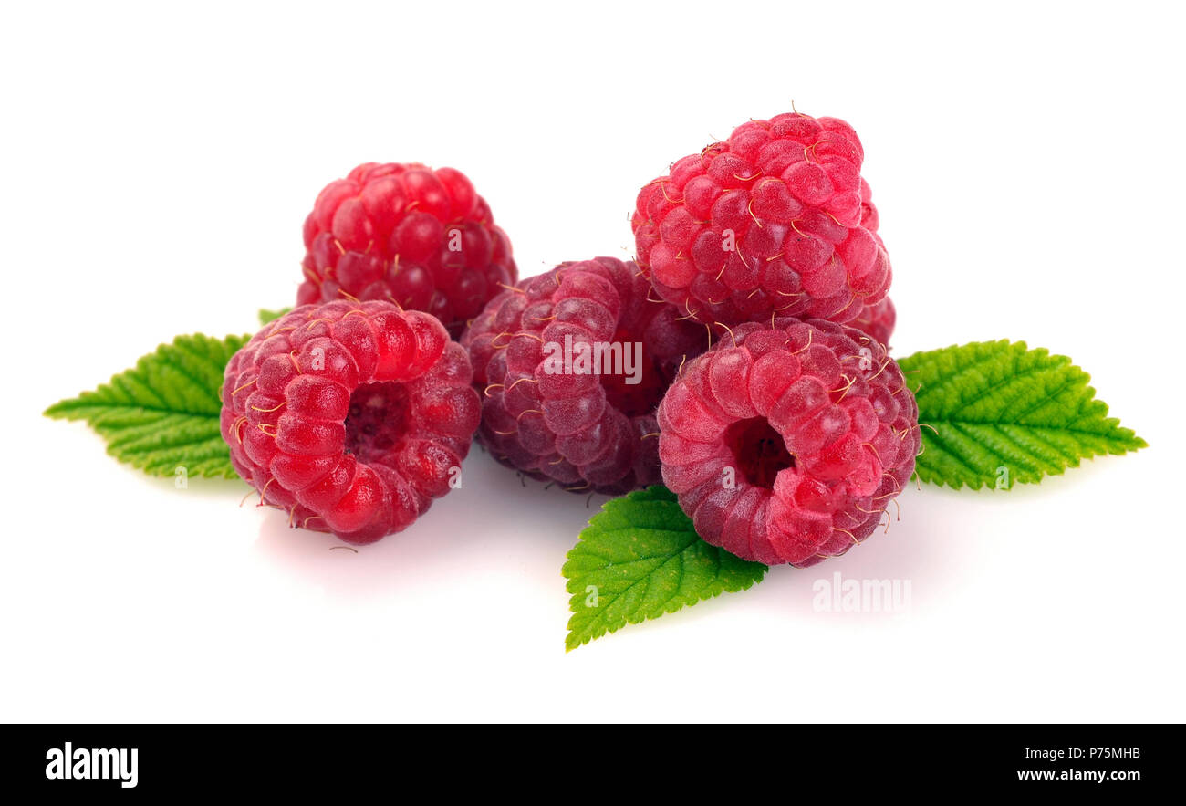 Backgroun garden Cut Out Stock Images & Pictures - Alamy