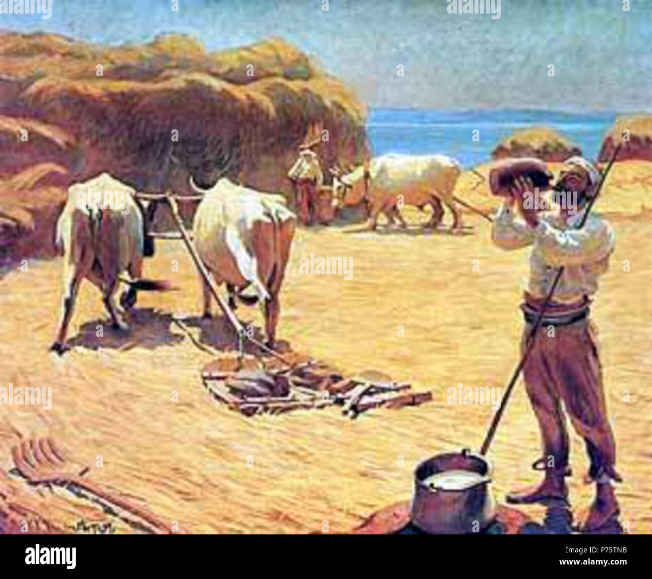 Traditional threshing method hi-res stock photography and images - Alamy