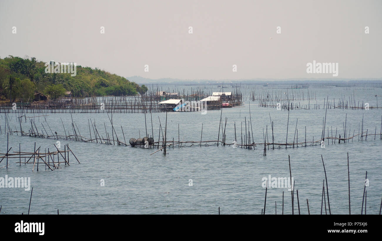 Fish farm with cages for fish and shrimp in the Philippines, Luzon ...