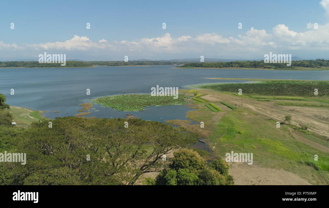 Aerial view of Paoay Lake with water lilies, Philippines. Lake against ...