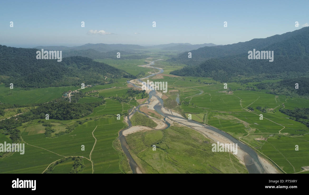 Mountain valley with river, farmland, rice fields. Aerial view of ...
