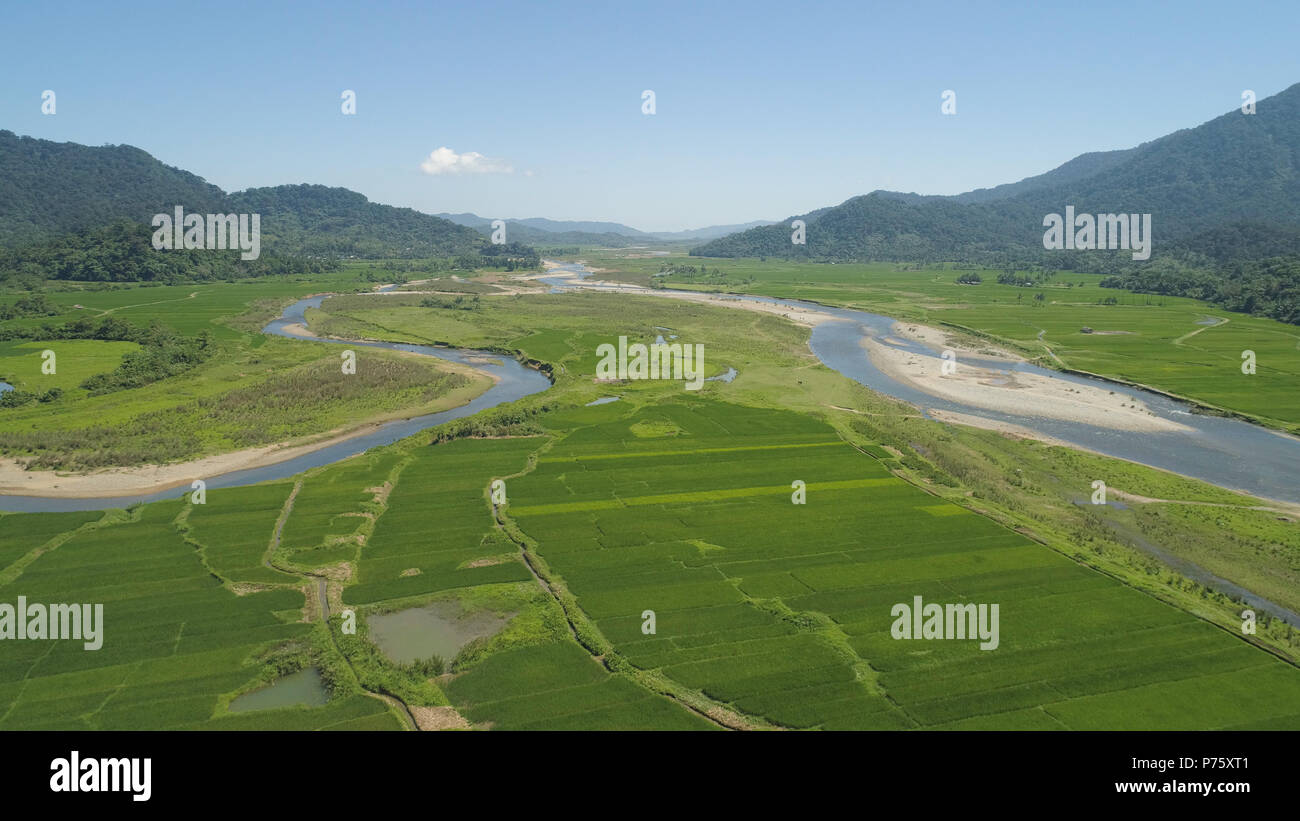 Mountain valley with river, farmland, rice fields. Aerial view of ...