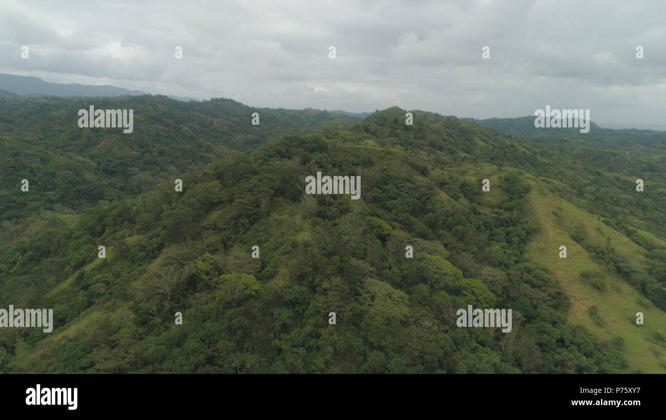 Aerial view of mountains covered forest, trees. Cordillera region ...
