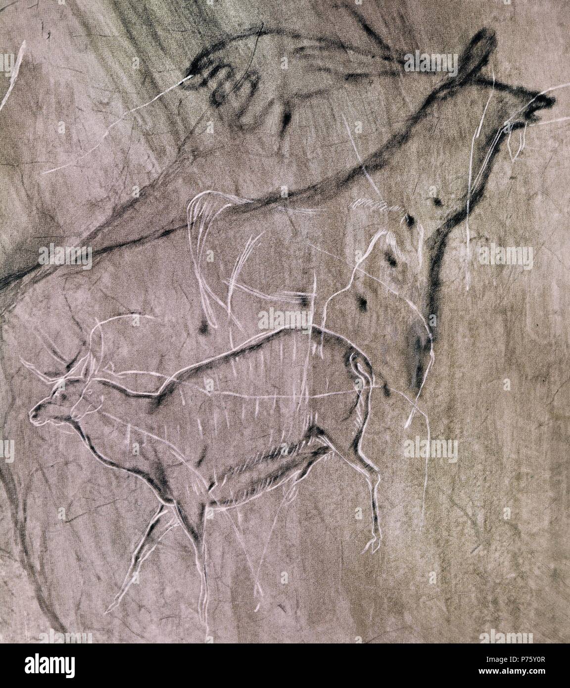 PINTURA RUPESTRE - CIERVO CABALLO Y GAMO. Location: CUEVA DEL BUXU ...