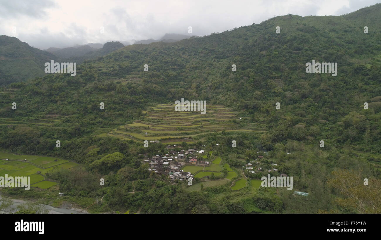 Aerial view of rice fields and agricultural land on the slopes of the ...