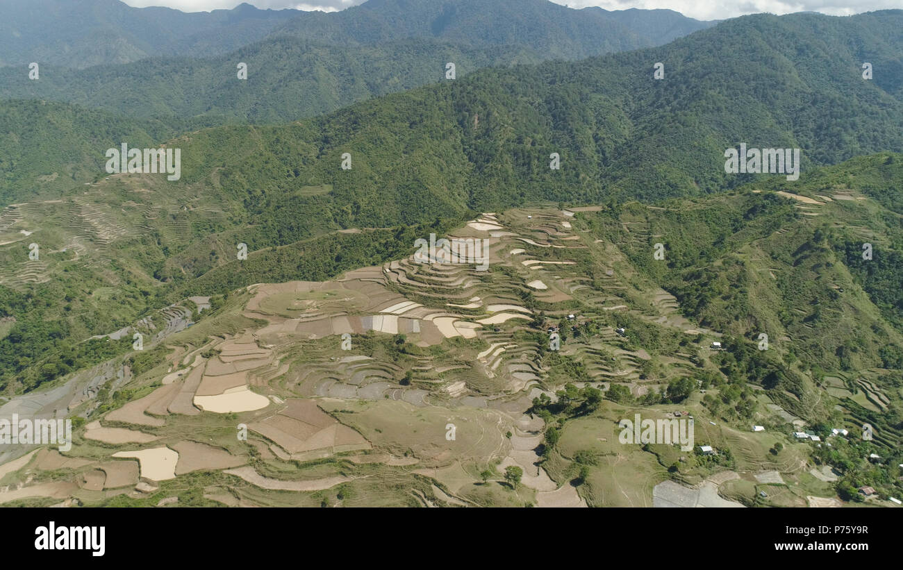 Aerial view of rice fields and agricultural land on the slopes of the ...