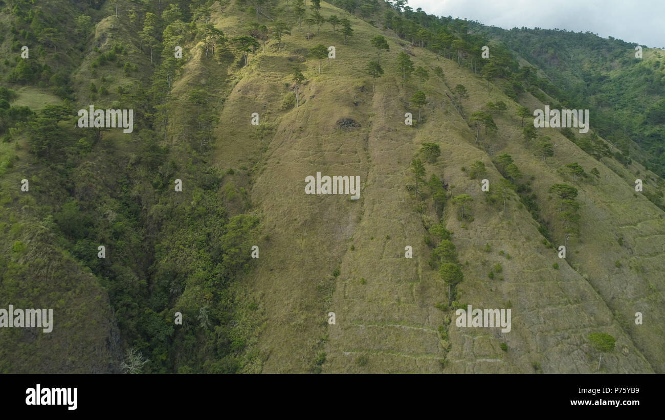 Aerial view of mountains covered forest, trees against the sky and ...