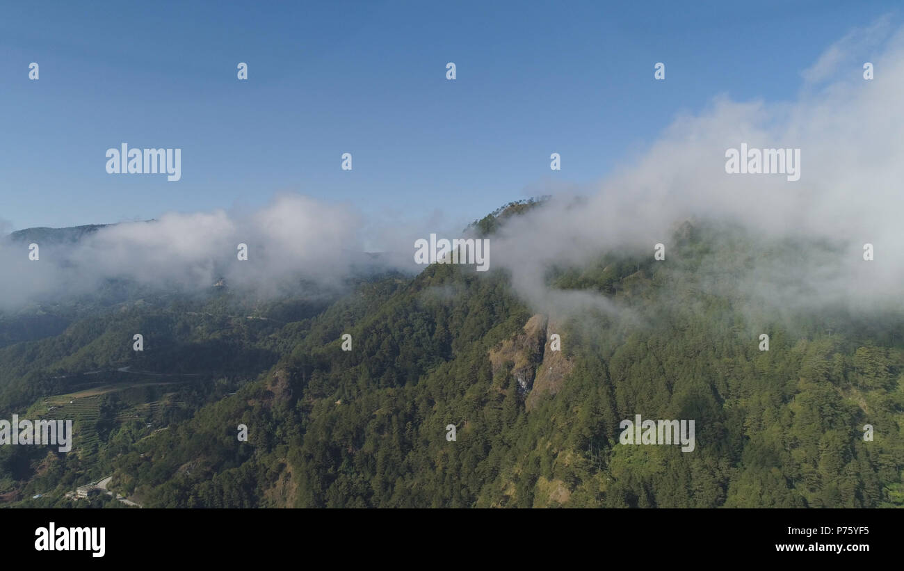 Aerial view of mountains covered forest, trees in clouds. Cordillera ...
