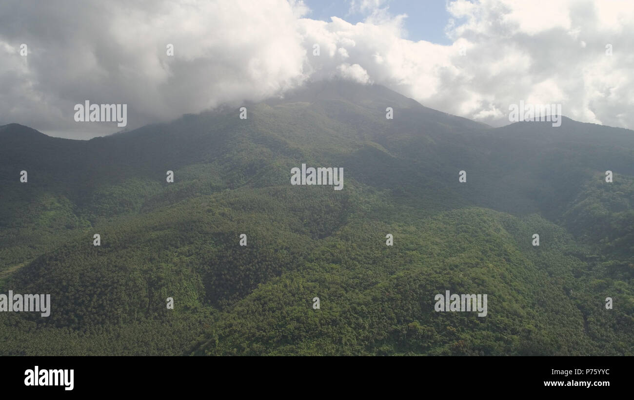Aerial view of mountains covered forest, trees in cloudy weather ...