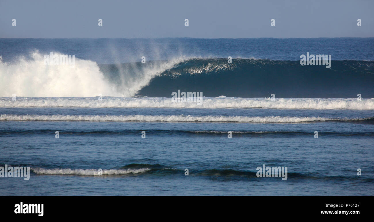 Bocur hi-res stock photography and images - Alamy