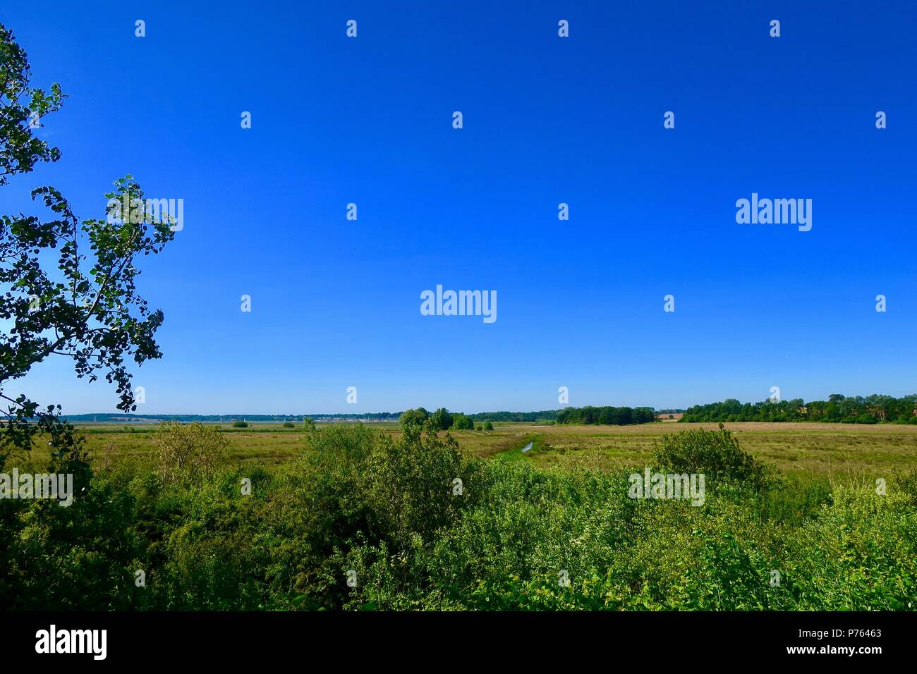 Trimley marshes nature reserve hi-res stock photography and images - Alamy