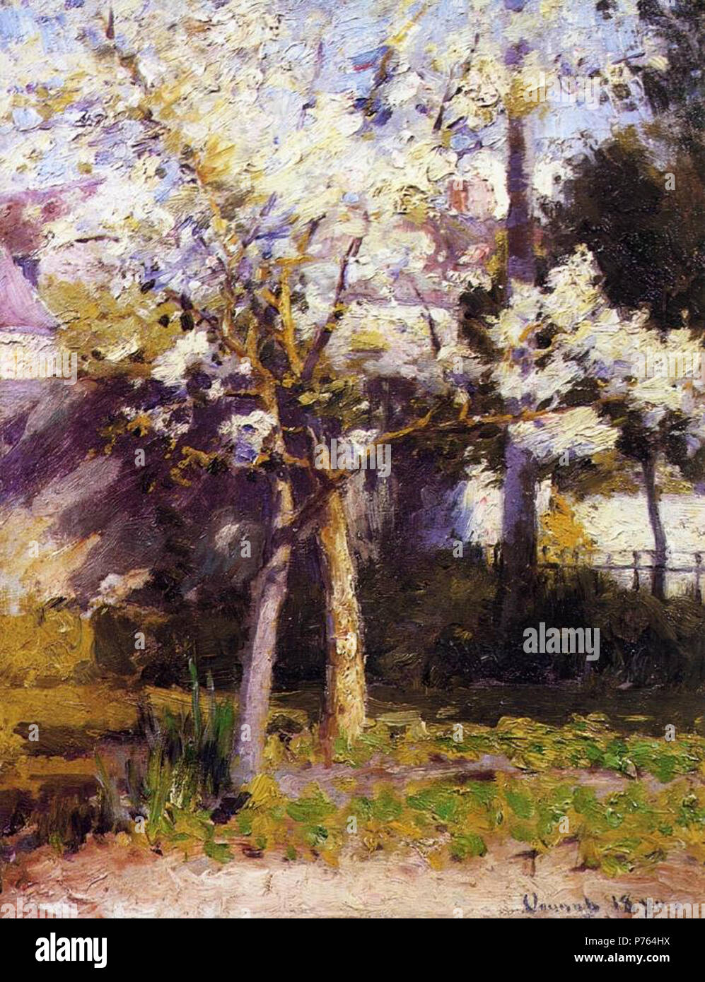 English trees hi-res stock photography and images - Alamy