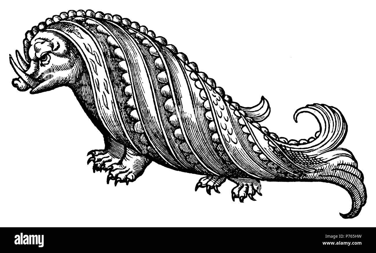 'pig whale', probably a fantastic representation of a walrus. After a ...