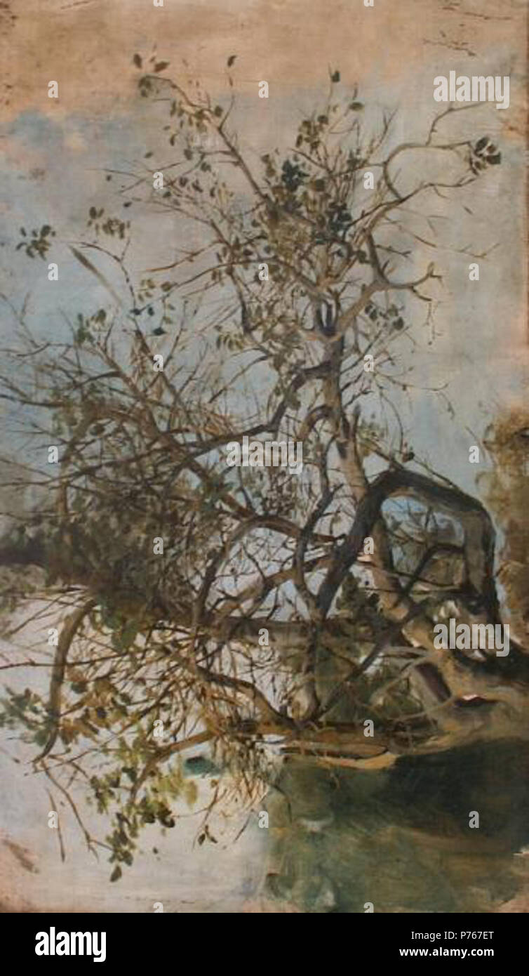 English: Tree on the Lake . before 1924 181 Pochwalski-Tree Stock Photo ...