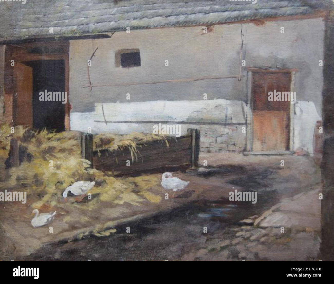 English geese hi-res stock photography and images - Alamy