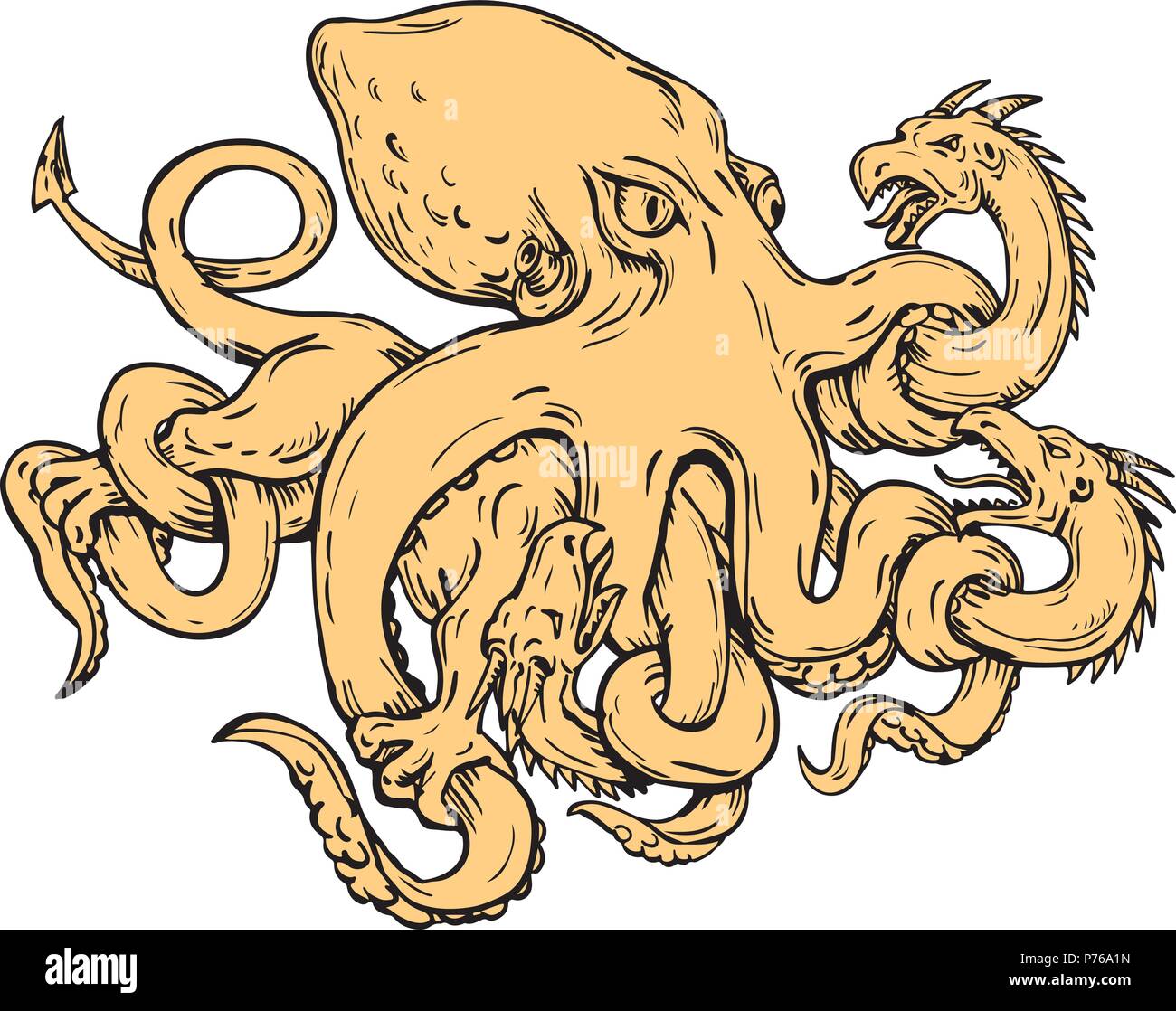 Drawing sketch style illustration of a giant octopus, soft-bodied ...