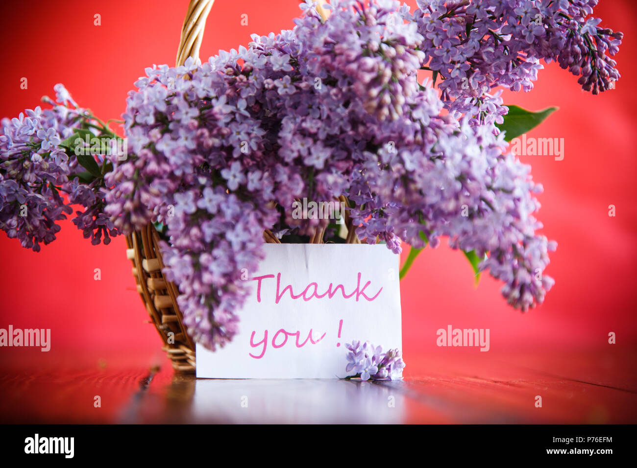 branch of blossoming spring lilac on a red background Stock Photo - Alamy