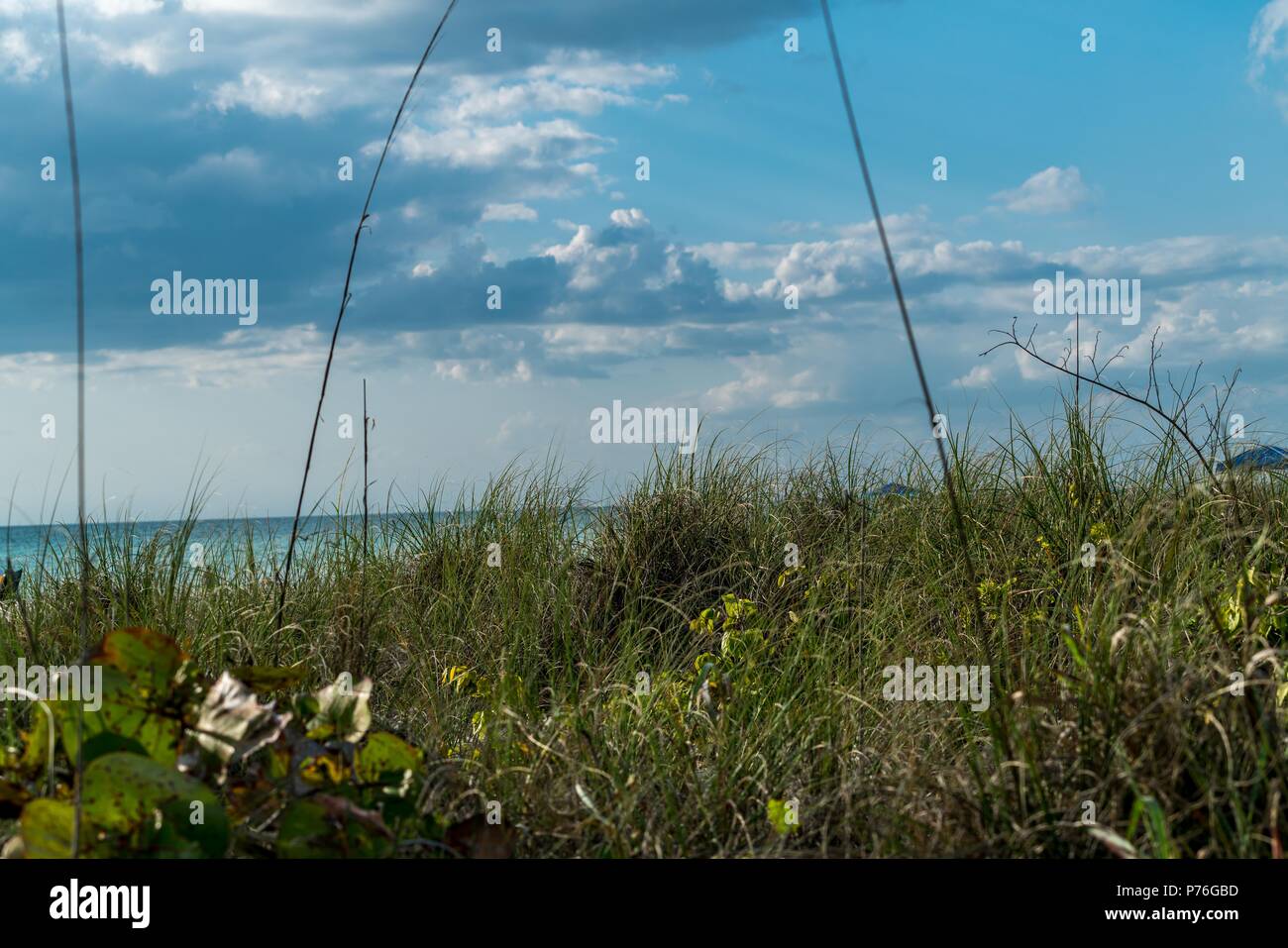 North jetty in venice hi-res stock photography and images - Alamy