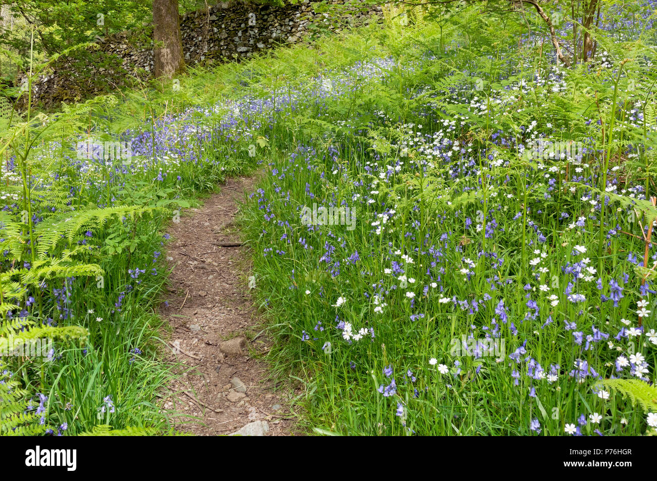 Greater england english uk united kingdom great britain british hi-res ...