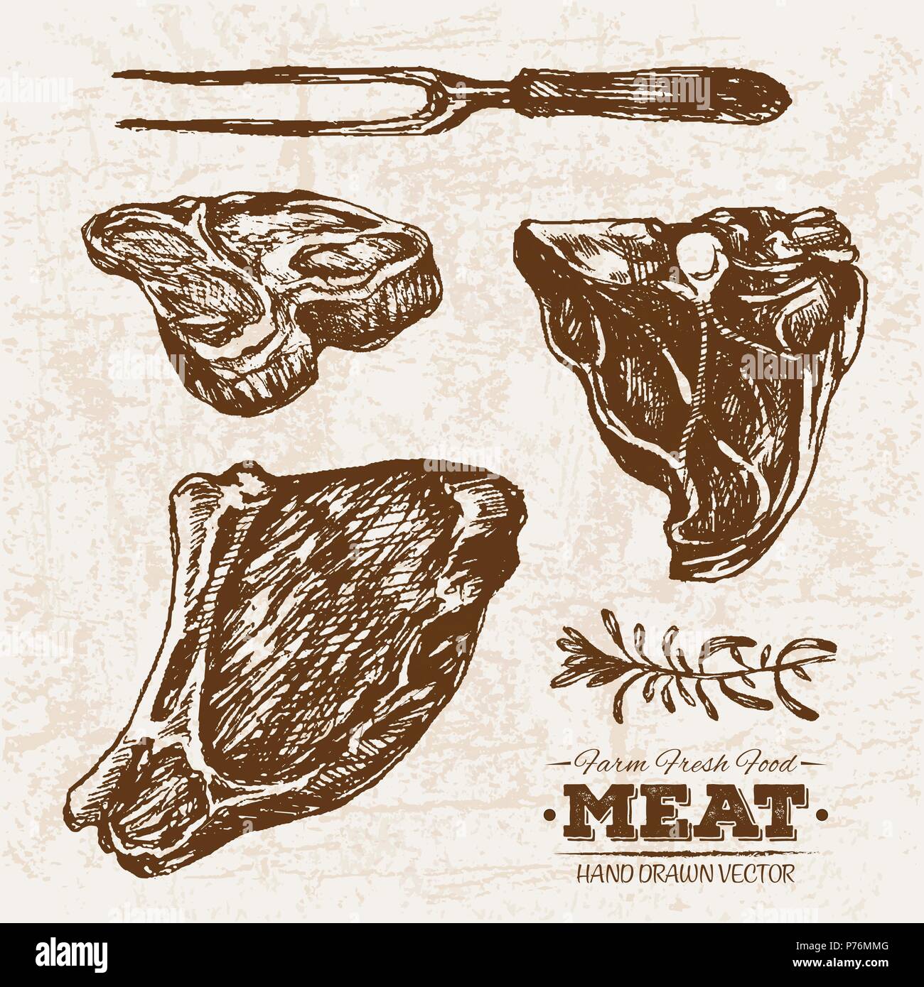Hand drawn sketch beef stake meat with rosemary and fork, farm fresh ...