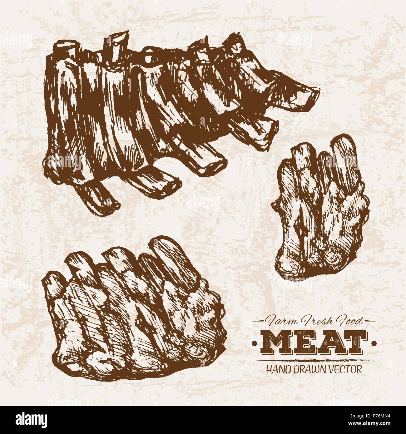 Hand drawn sketch meat grilled ribs products set, farm fresh food ...