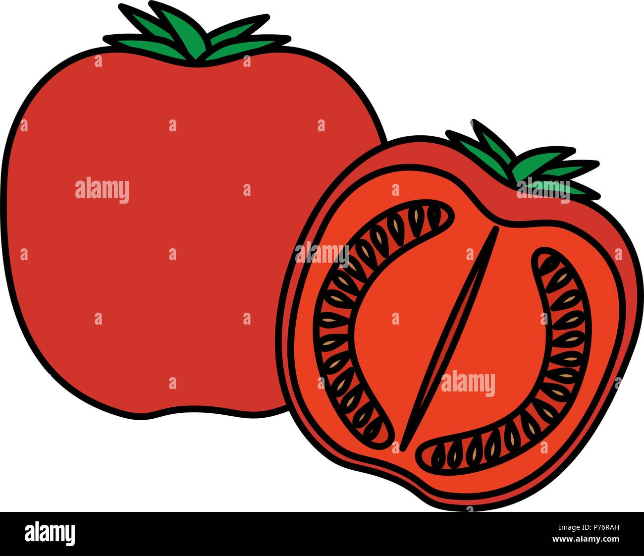 fresh tomato slide healthy food vector illustration design Stock Vector ...