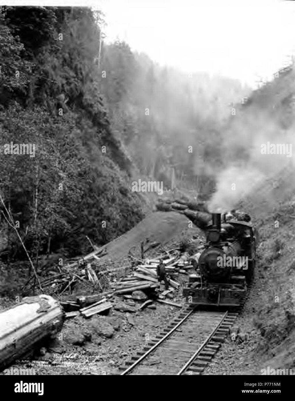 . English: 0-6-0 Alco locomotive on log train in gully, Big Creek ...