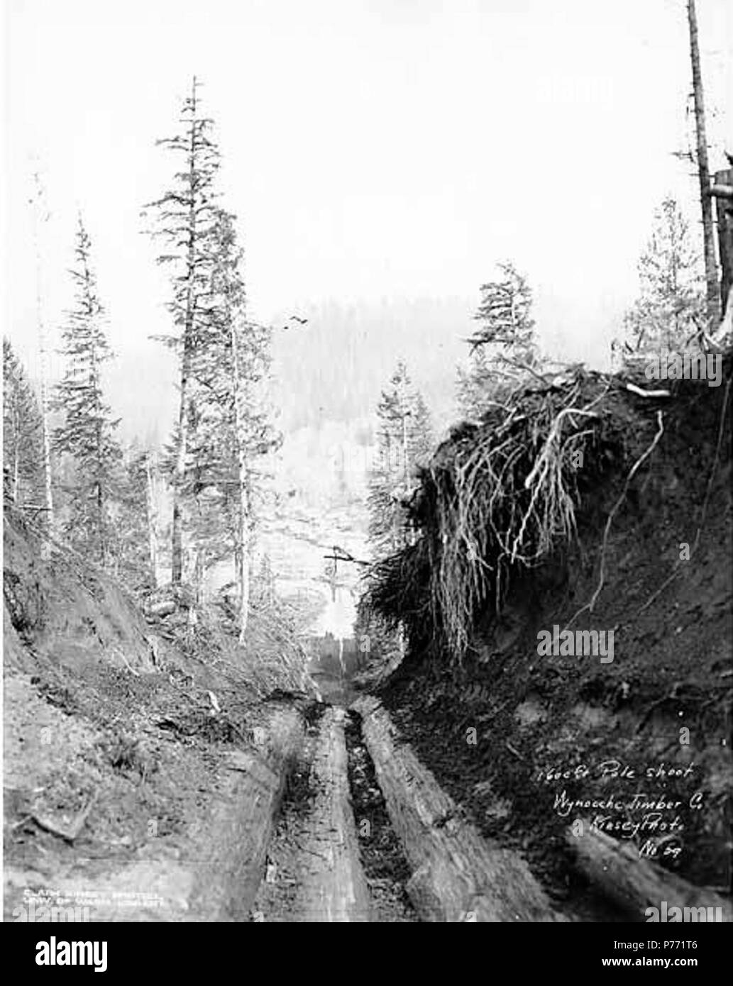 Logging pond hi-res stock photography and images - Alamy