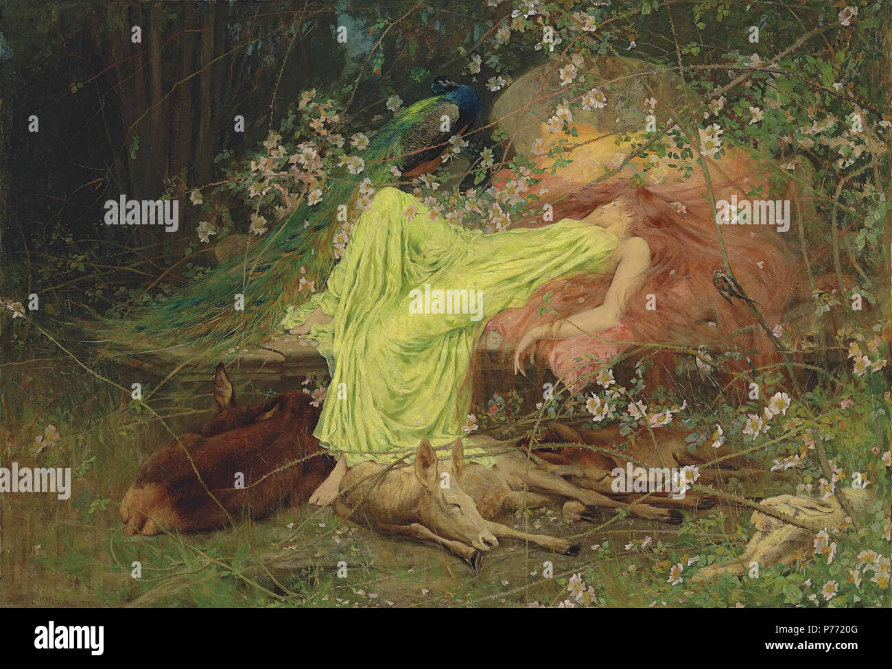 Hare sleep hi-res stock photography and images - Alamy