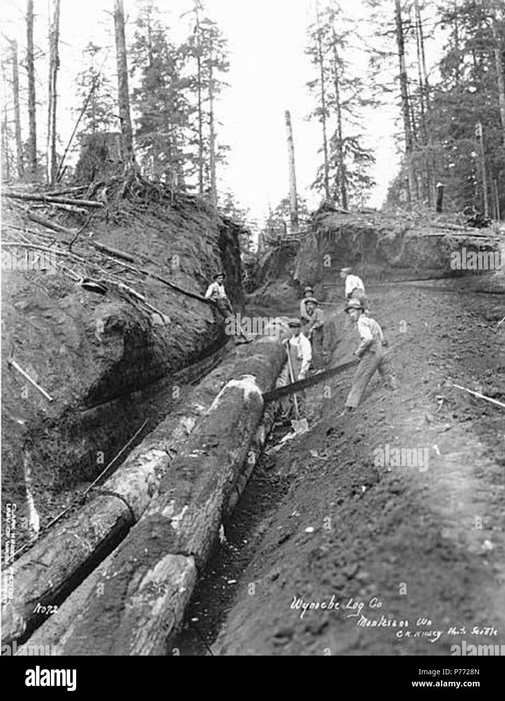 . English: Bucking crew constructing skidway, Wynooche Timber Company ...