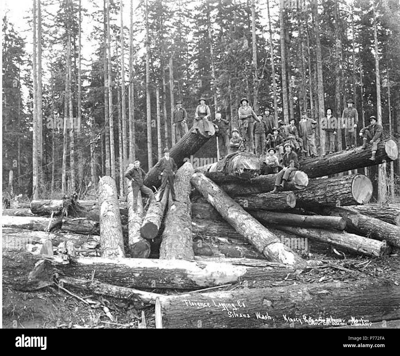 . English: Cold deck and logging crew, Florence Logging Company, ca ...