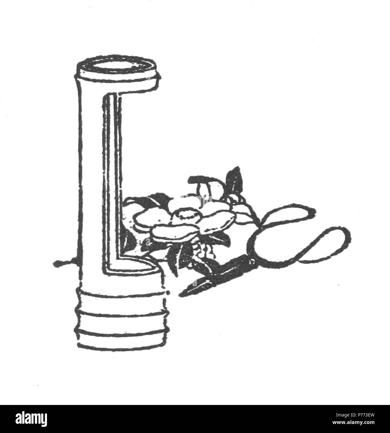 Branches flower arrangement Black and White Stock Photos & Images - Alamy