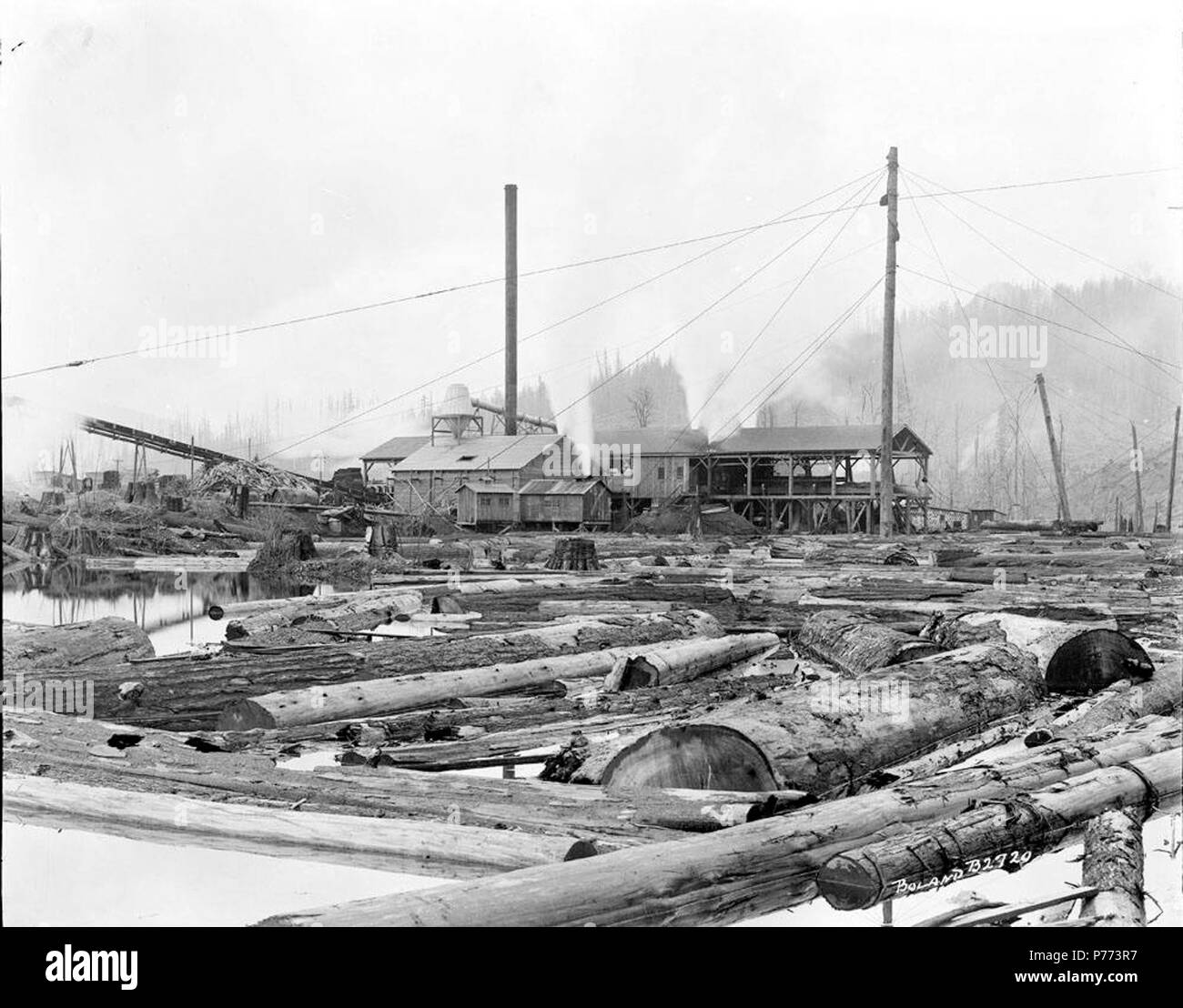 Log mill washington hi-res stock photography and images - Alamy