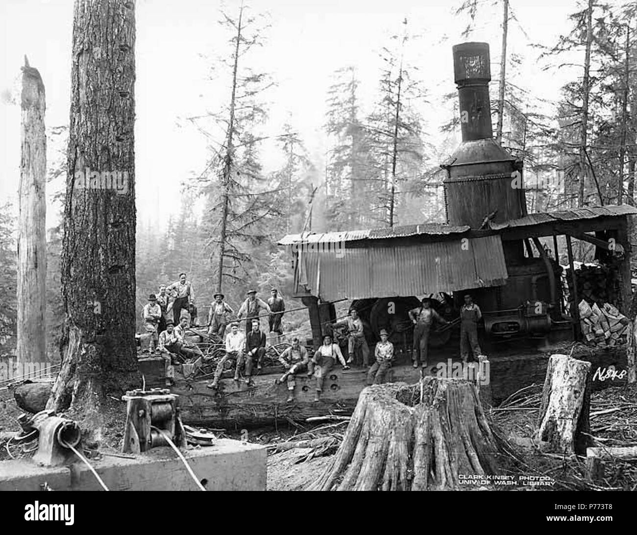 . English: Loading crew and donkey engine, Wynooche Timber Company ...
