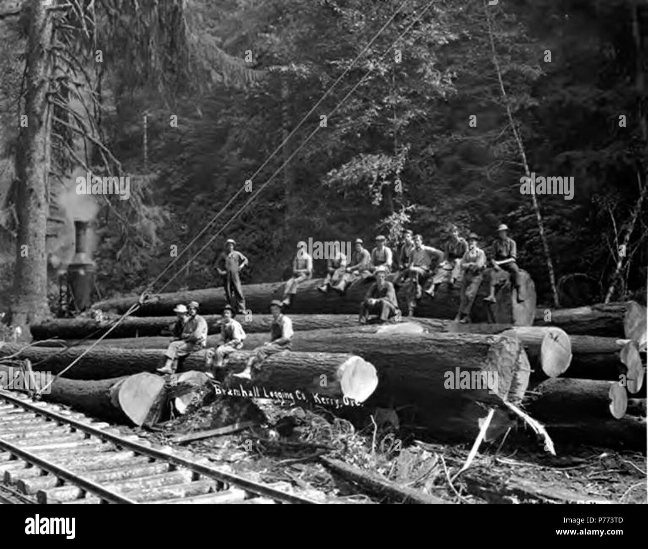 . English: Loading crew seated on logs at landing, Bramhall Logging ...