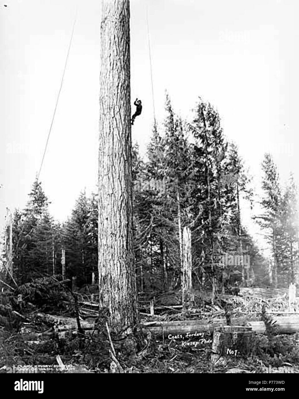 1920s logger Black and White Stock Photos & Images - Alamy
