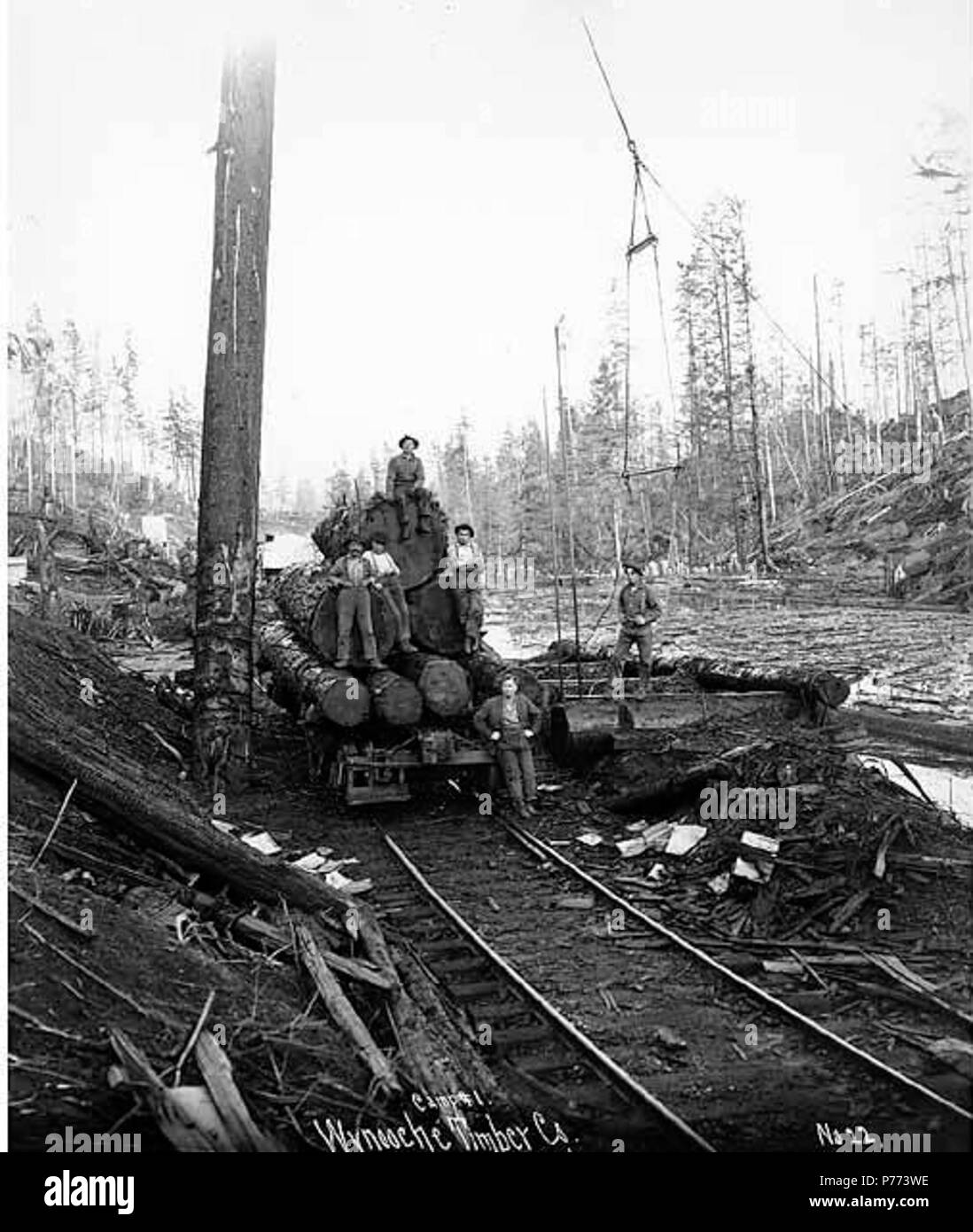 Logging pond hi-res stock photography and images - Alamy