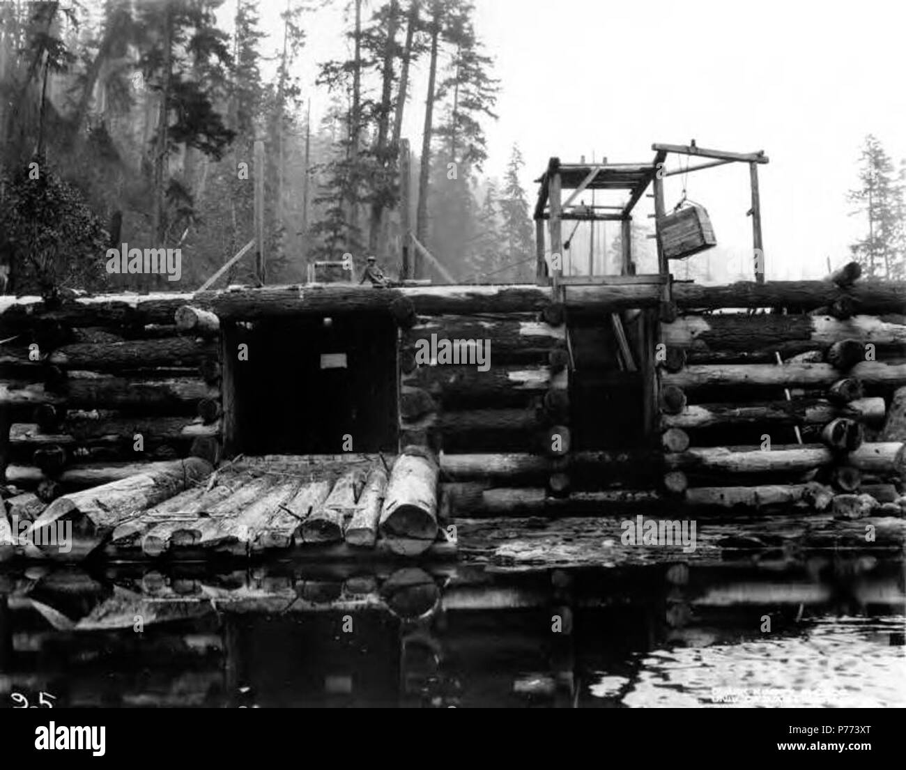 Logging Pictures Pacific Northwest