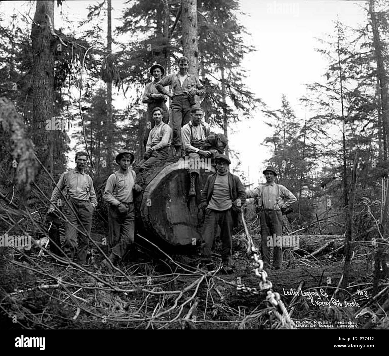 . English: Loggers in the woods, Lester Logging Company, near Montesano ...