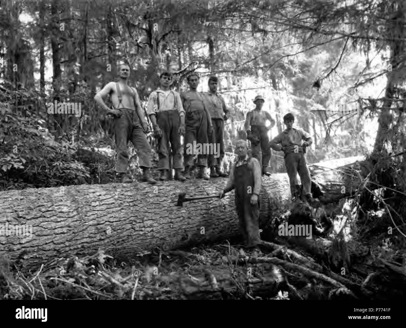 Oregon Logging History