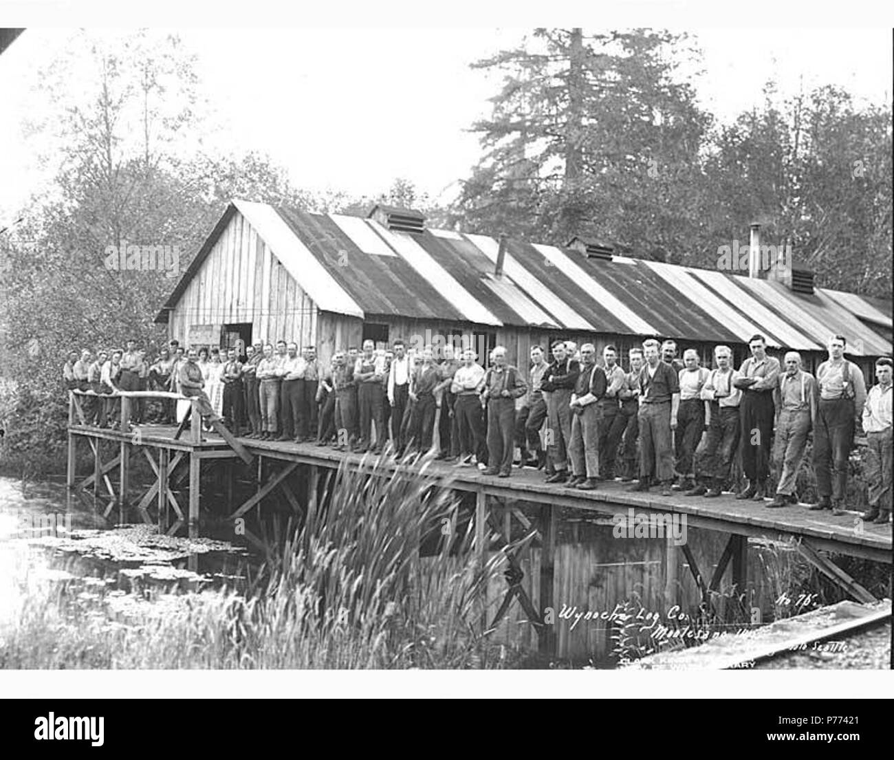 Logging pond hi-res stock photography and images - Alamy