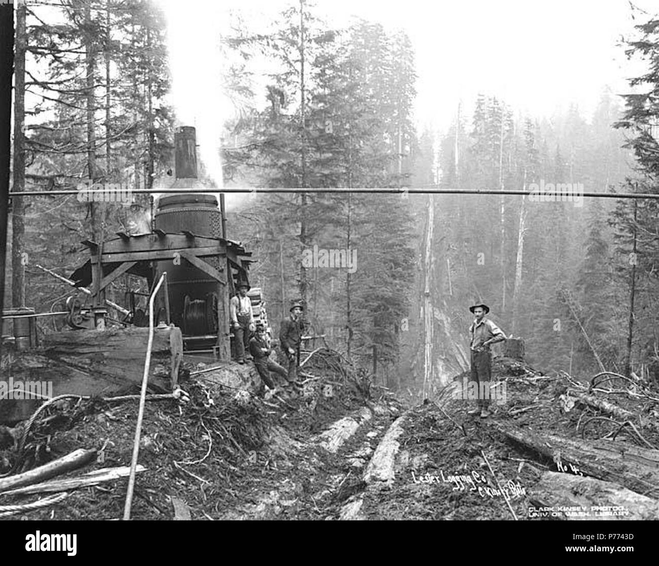 . English: Logging crew and donkey engine beside skid road, Lester ...